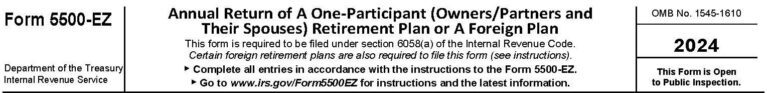 Form 5500-EZ: [Updated] Instructions with Screenshots for Solo 401(k ...