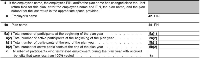 Form 5500-EZ: [Updated] Instructions with Screenshots for Solo 401(k ...