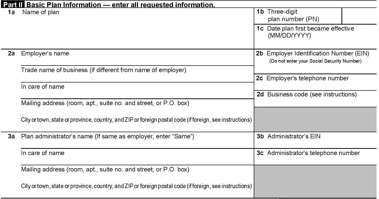 Form 5500-EZ: [Updated] Instructions with Screenshots for Solo 401(k ...