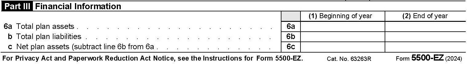 Form 5500-EZ: [Updated] Instructions with Screenshots for Solo 401(k ...
