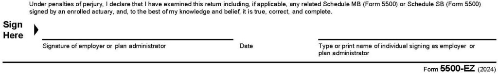 Form 5500-EZ: [Updated] Instructions with Screenshots for Solo 401(k ...